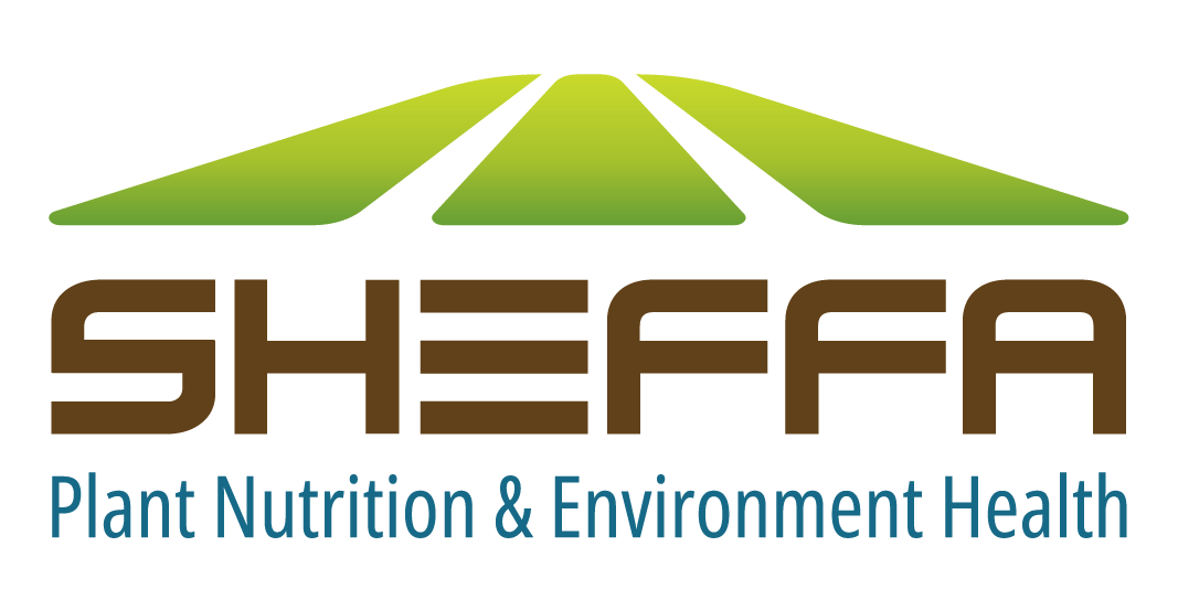 Contact Us – Sheffa